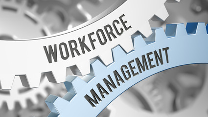 DonDev - Software Development Portfolio